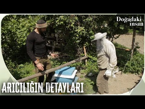 Canlı yaşamının kaynağı arılar... Doğal Arıcılık nasıl yapılır? | Doğadaki İnsan 7. Bölüm