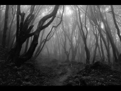 V Ihr habt nun Traurigkeit Ein Deutsches Requiem J Brahms