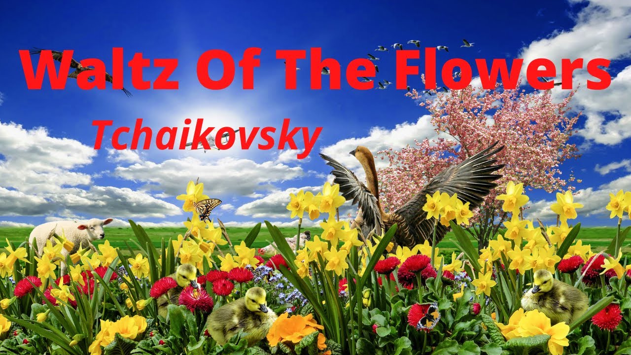 Waltz Of The Flowers | Tchaikovsky - YouTube