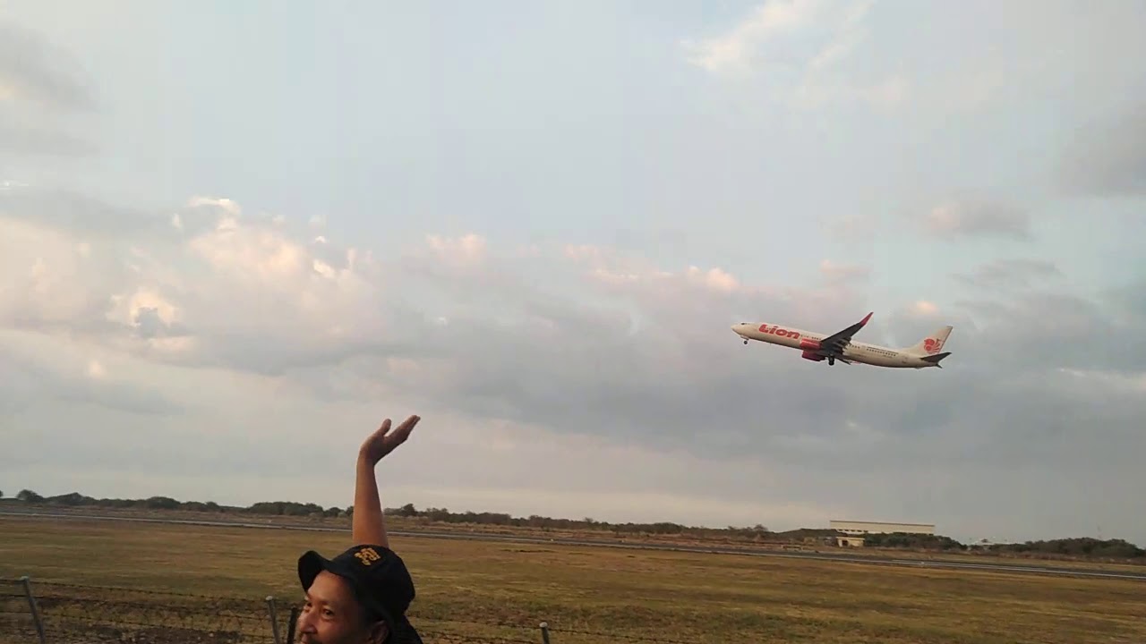 Amazing...Singa Terbang - YouTube