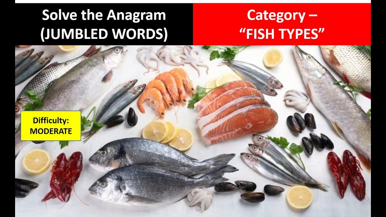 ANAGRAMS - FISH TYPES, DIFFICULTY - MODERATE | WORD SCRAMBLE | JUMBLED WORDS - YouTube