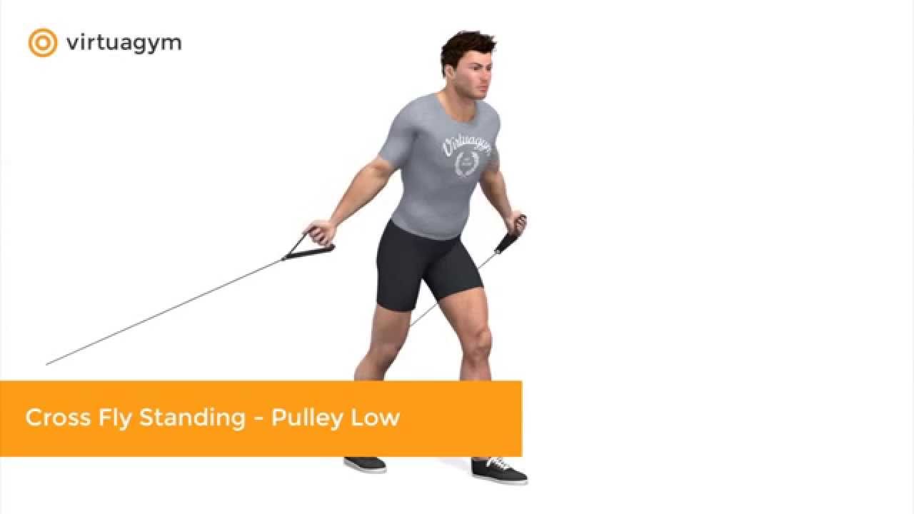 Cross Fly Standing - Pulley Low - YouTube