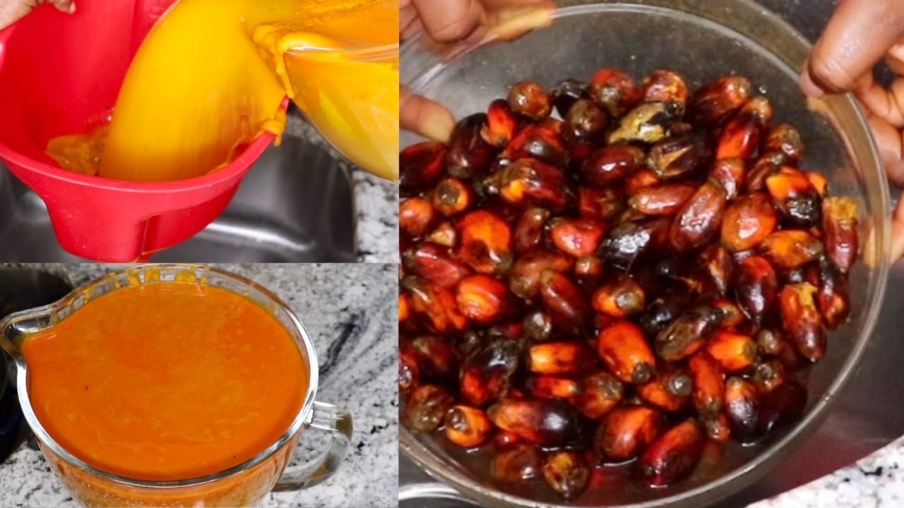 HOW TO EXTRACT AND PRESERVE YOUR PALM NUT CONCENTRATE FOR AS LONG AS ...