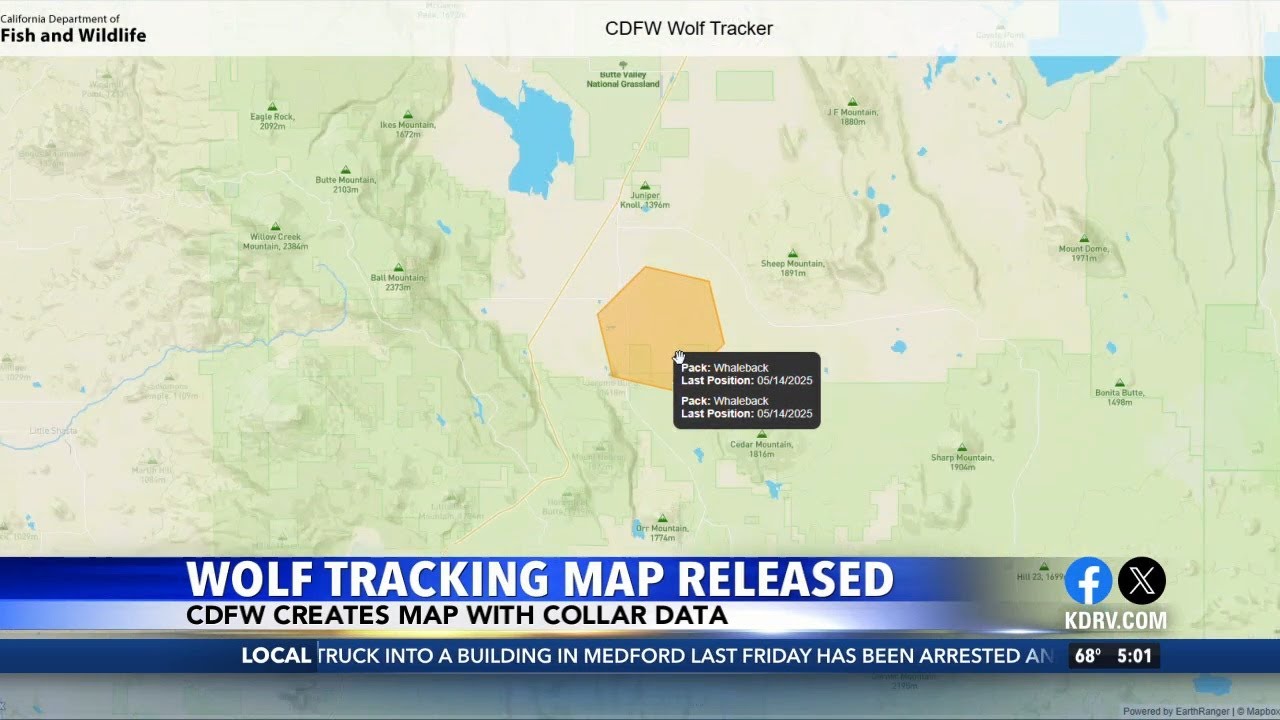 CDFW releases wolf mapping tool - YouTube