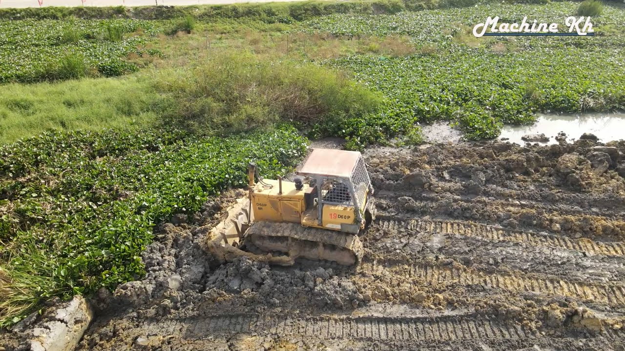 New Project,! Super Bulldozer and Dump Trucks 25t process filling land ...