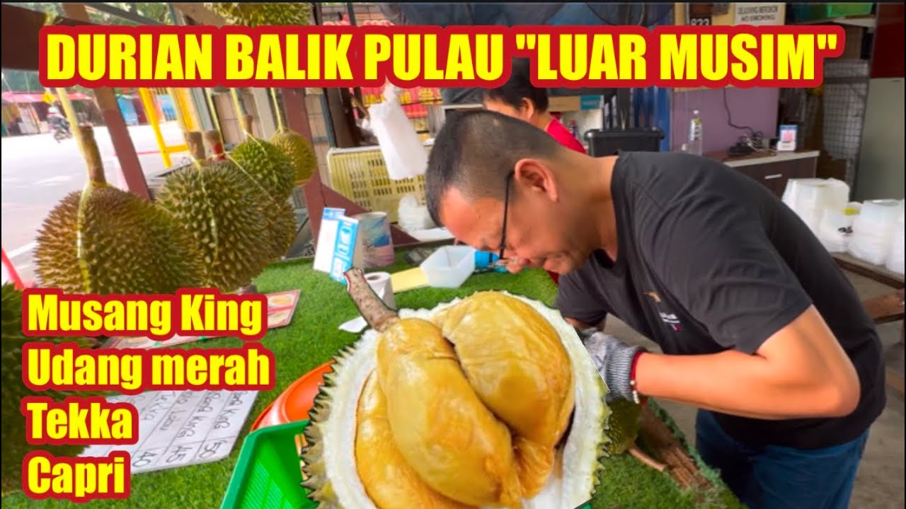 Durian Balik Pulau 'LUAR MUSIM' Musang King, Udang merah, Tekka, Capri ...
