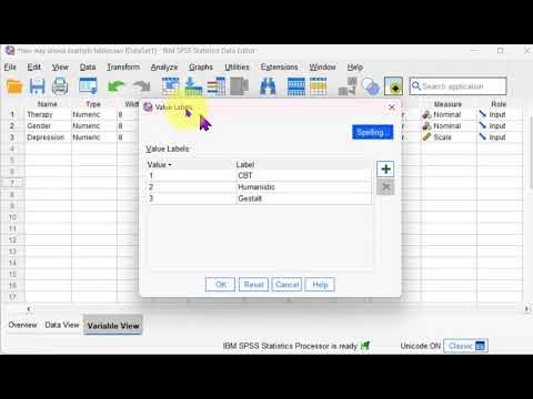 SPSS Basic Tutorial - Data View and Variable View - YouTube
