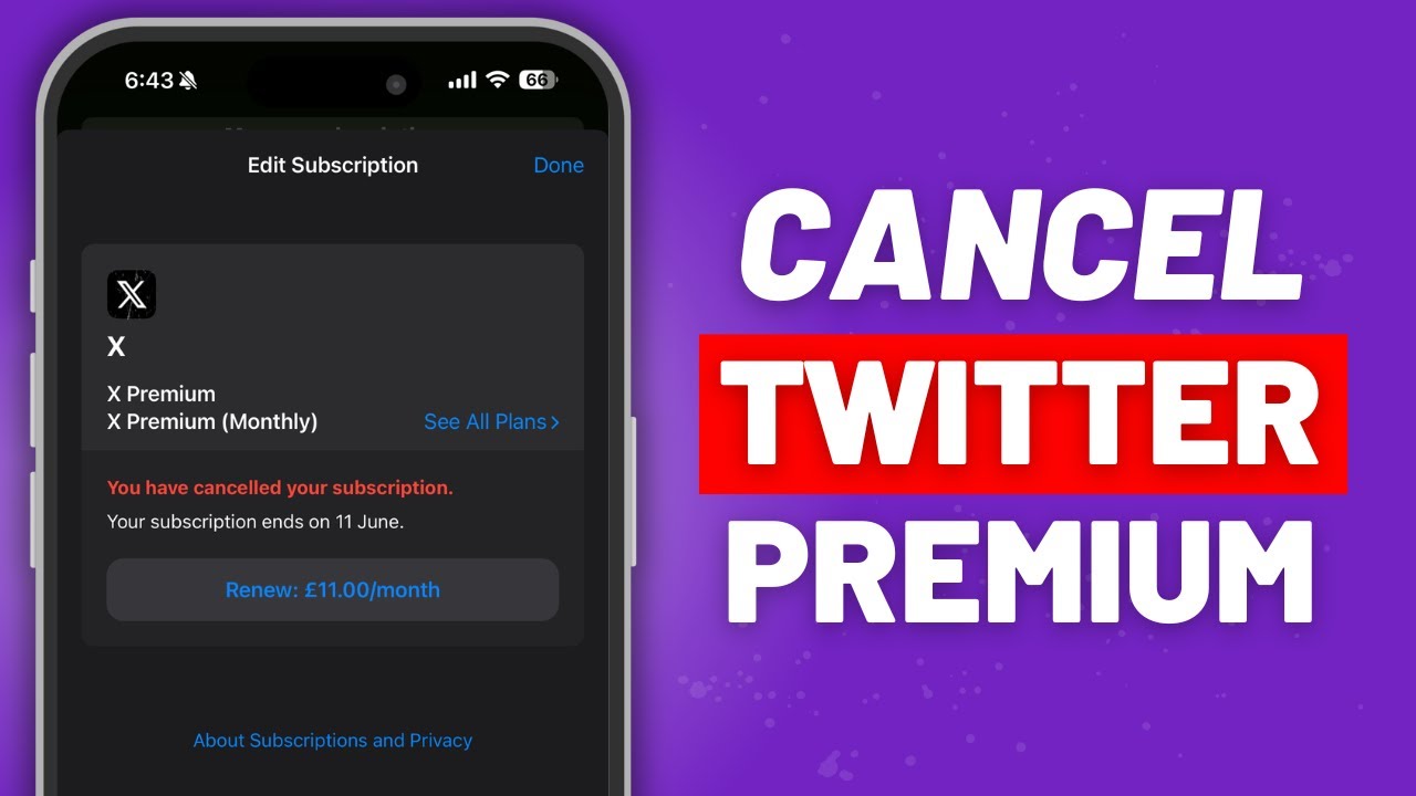 How To Cancel Twitter (x) Premium Subscription - YouTube