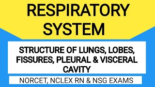 Lungs || Respiratory System || Pleural Cavity || Viscer... | Doovi