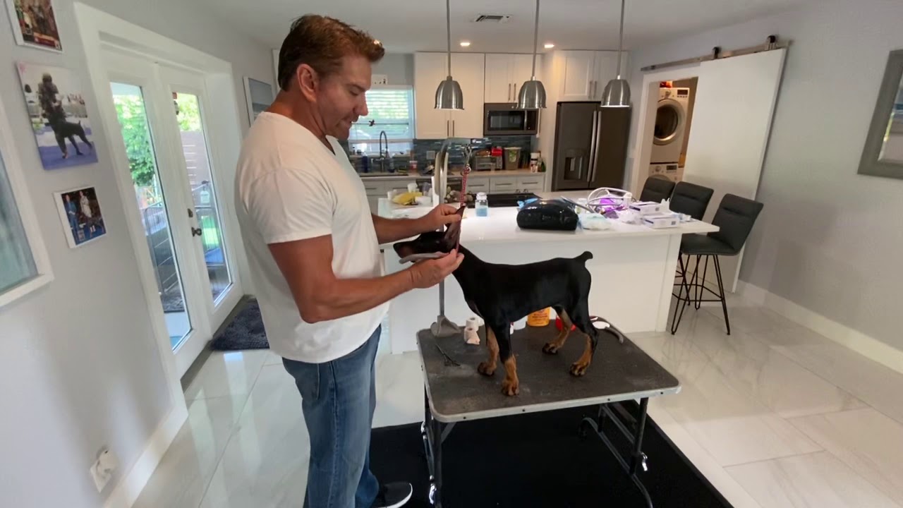 Ear taping video 1 - YouTube