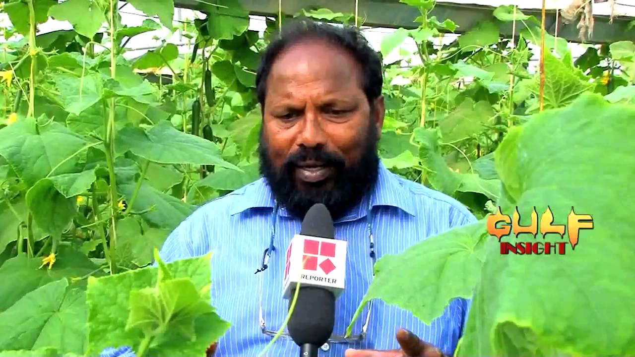 Success Story of Vijayan Pillai in Gulf Insight, Reporter TV - YouTube