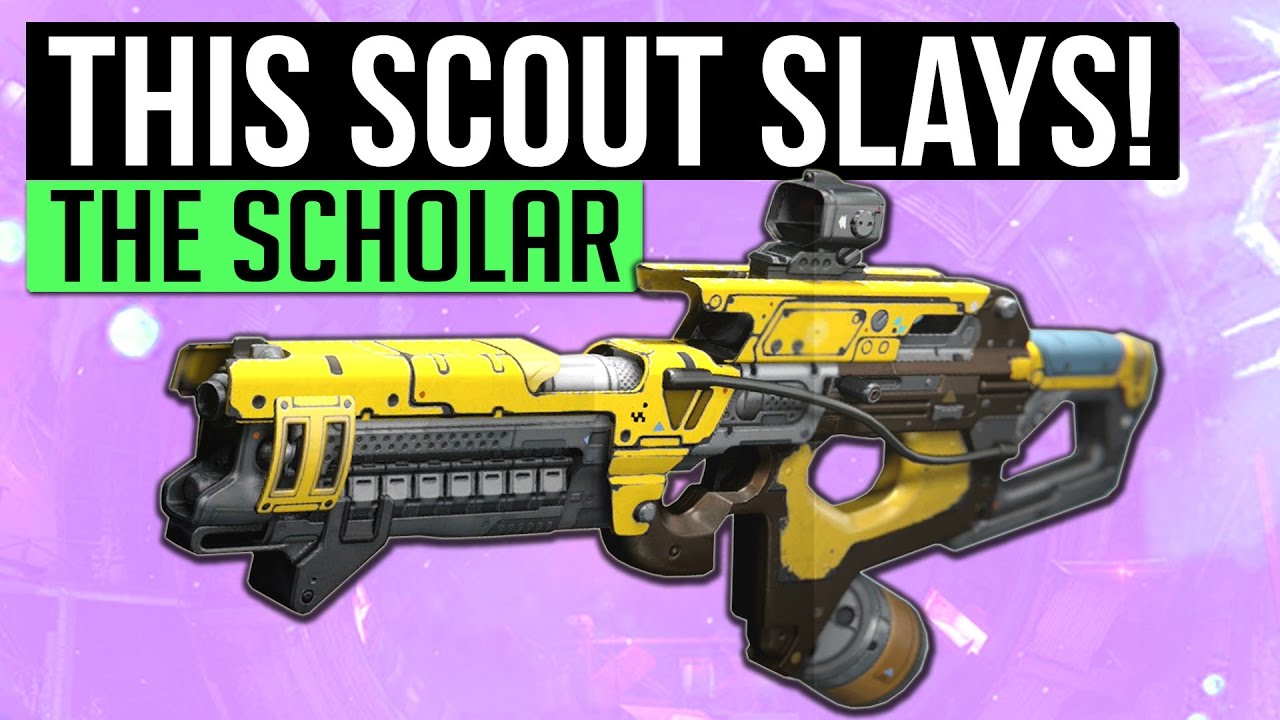 Destiny | THIS SCOUT SLAYS! - The Scholar Scout Rifle is Insane for PvP ...