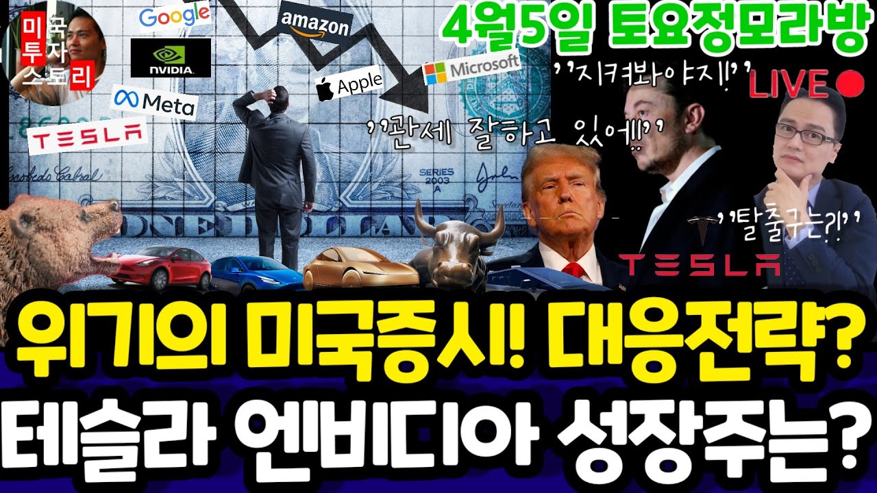 미국주식관세 무역전쟁과 위기 대응전략비중공개와 적정주가조정테슬라 엔비디아 구글 애플 아마존 메타 마이크로소프트 팔란티어