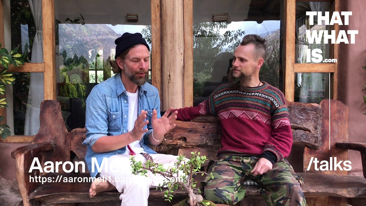 Talk with Aaron Meli Pt 1 | www.thatwhatis.com - YouTube
