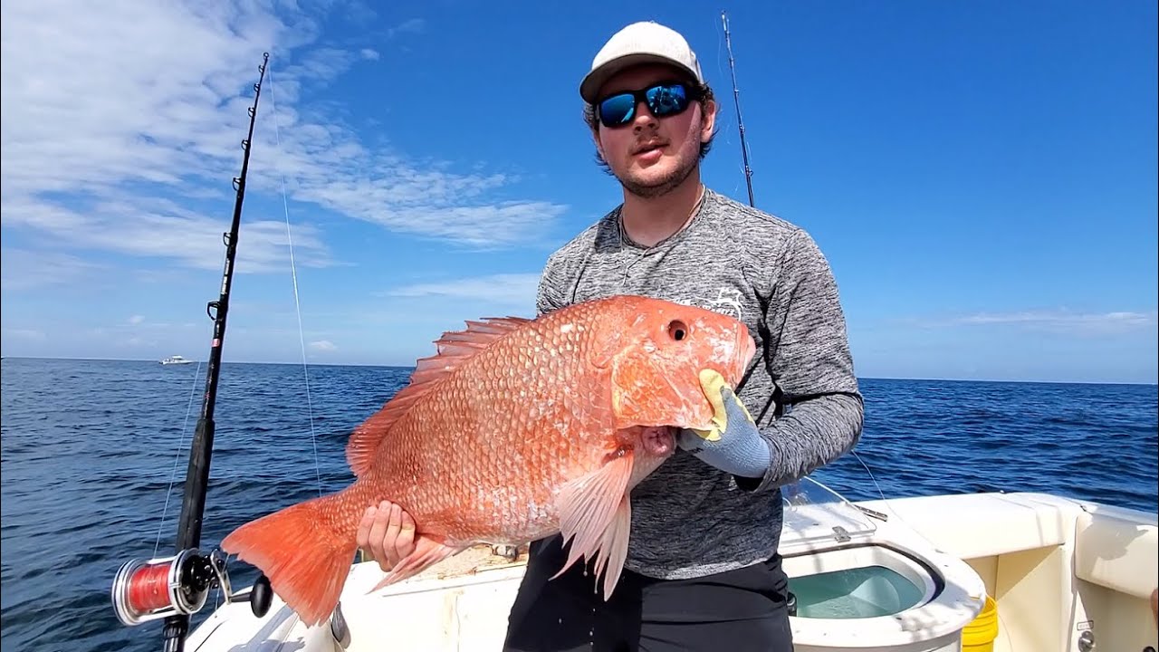 FLORIDA Red Snapper *** 8 person limit in 20 minutes*** - YouTube