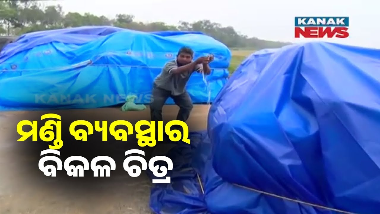 Untimely Rain Exposes Poor Condition of Mandi System | Updates From ...