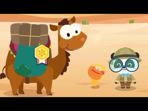 Bayi Panda Kiki Belajar tentang Onta | Kartun Anak Terbaru | Babybus ...