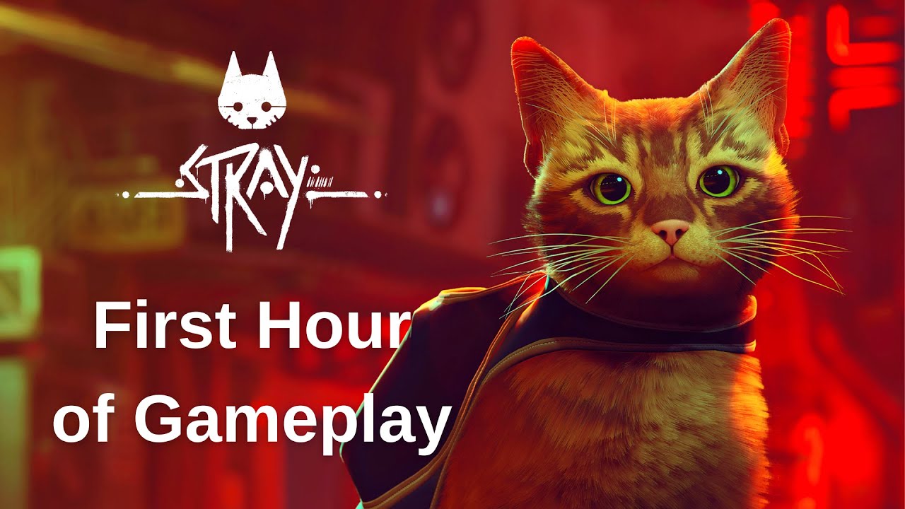 STRAY (Cat Game) - First Hour of Gameplay - YouTube