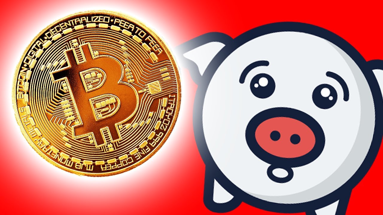 Piggy-Verse Episode 26 | Win Crypto with Piggy! 🐷 - YouTube