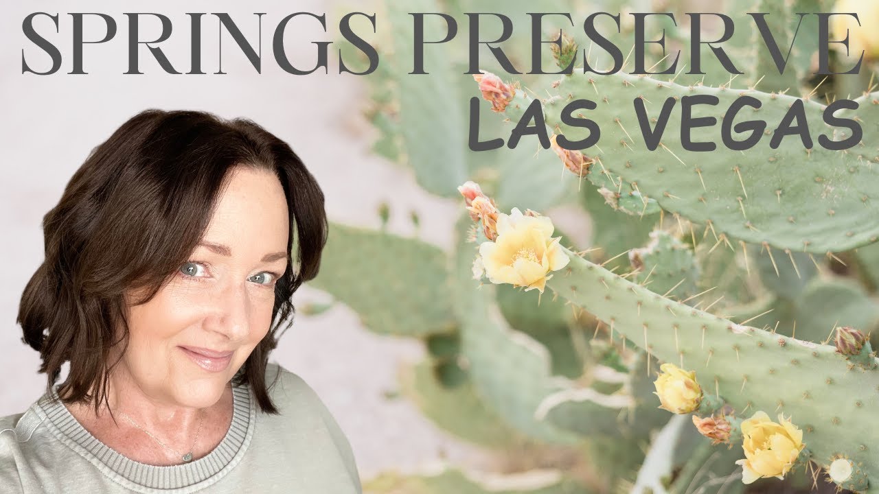 🌼VISITING LAS VEGAS WITH CHILDREN???🌼 A FABULOUS DAY OUT AT SPRINGS ...
