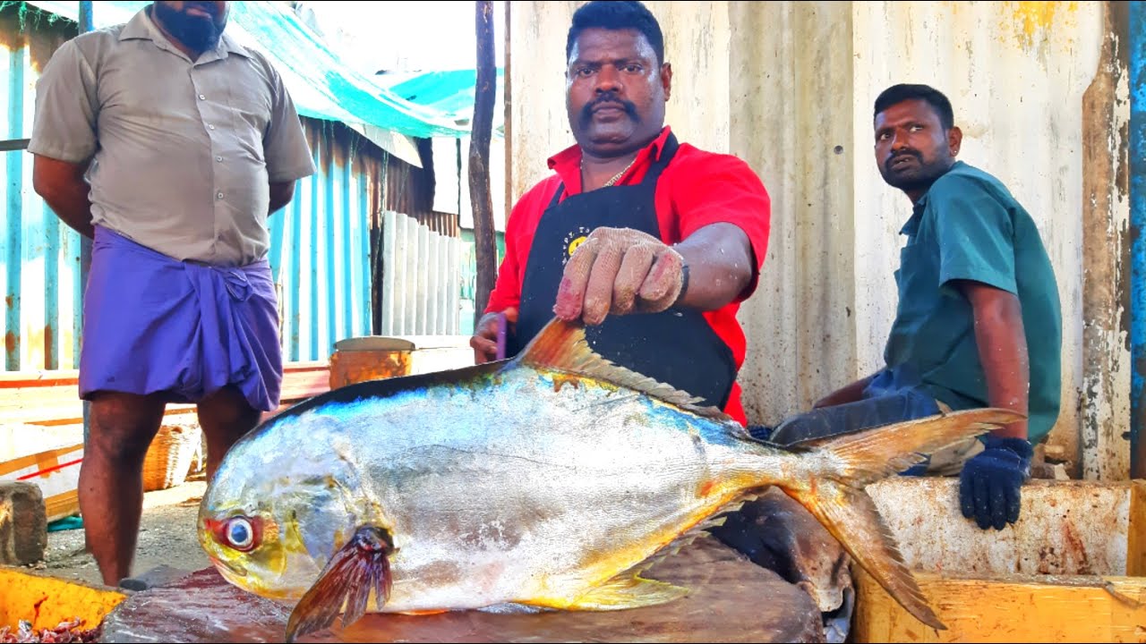 THUKKUNAASI PAARAI || SELVAM VIEW OF CUTTING SKILLS #kasimedu - YouTube