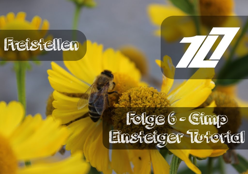 GIMP 2.8 Einsteiger Tutorial - Folge 6 Freistellen [Deutsch/German ...