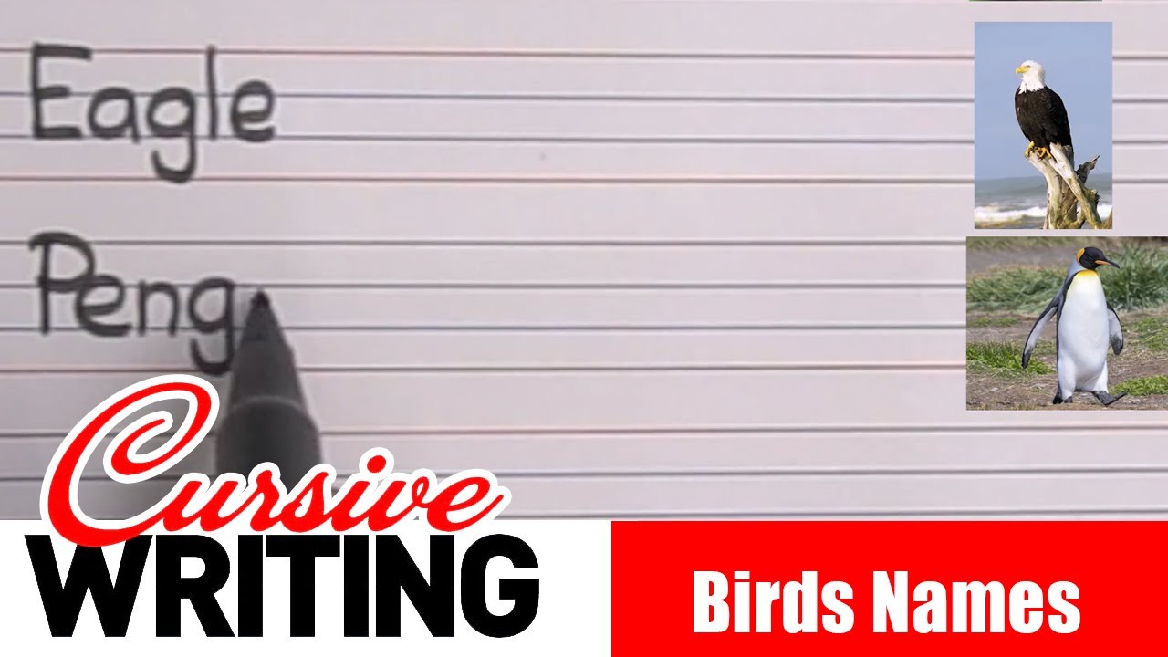 Birds Names | how to write in good handwriting in English | Cursive ...