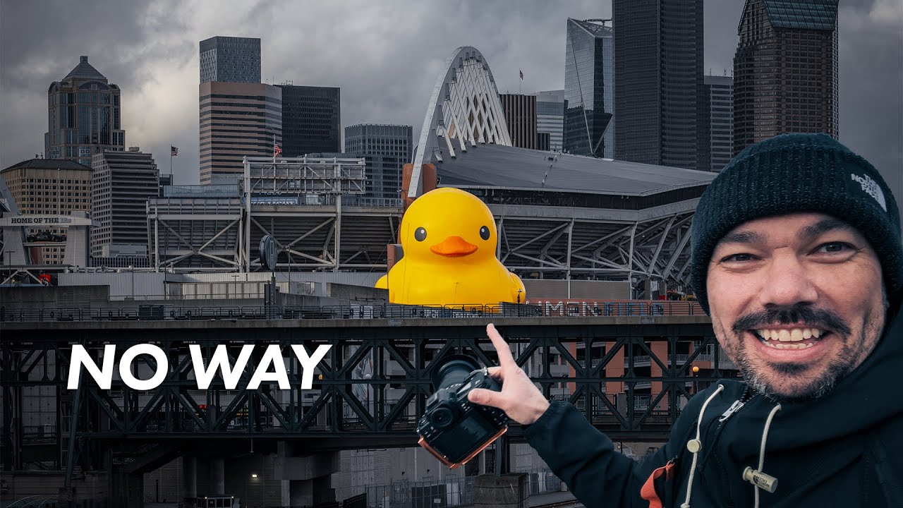 I PHOTOGRAPHED THE WORLDS LARGEST DUCK IN SEATTLE - YouTube