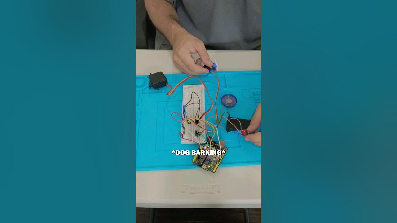 Prank Someone for Christmas This Year 🐶 #christmas #electronics # ...