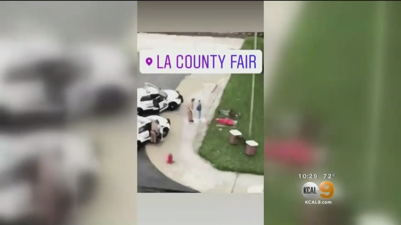 Miniature Display Of Crime Scene Causes Big Uproar At LA County Fair ...