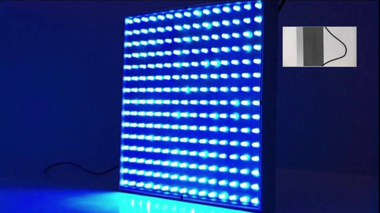 225 blue LED hydroponic plant grow light panel 14w (BLED) - YouTube