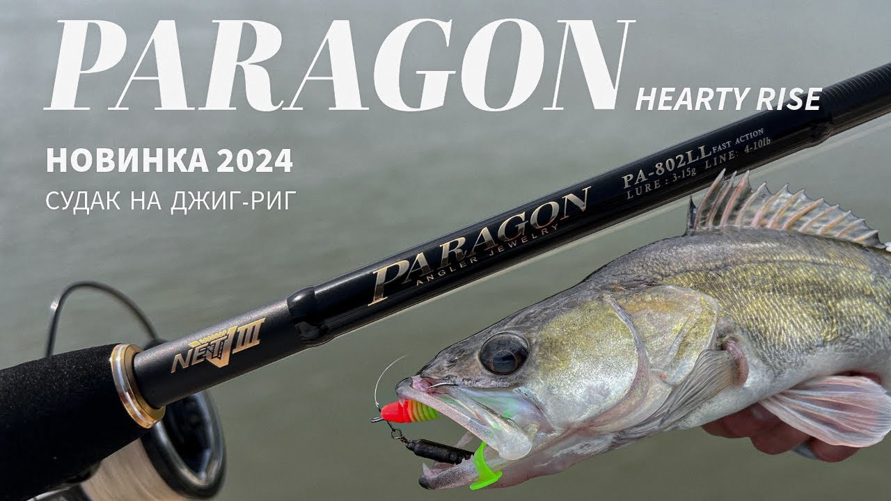 Раздача судака на джиг-риг. Знакомство с Hearty Rise Paragon PA-802LL 2 ...