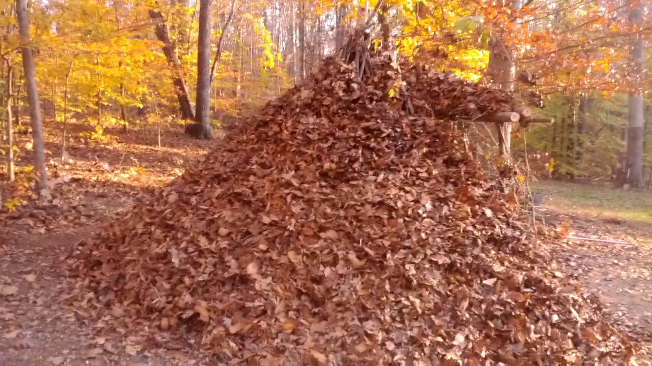 Spider Hut (Inspired by Sarge) - YouTube