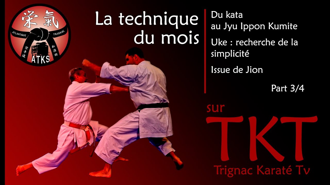 LA TECHNIQUE DU MOIS / Du kata au Jyu Ippon Kumite - Uke, Simplicité ...