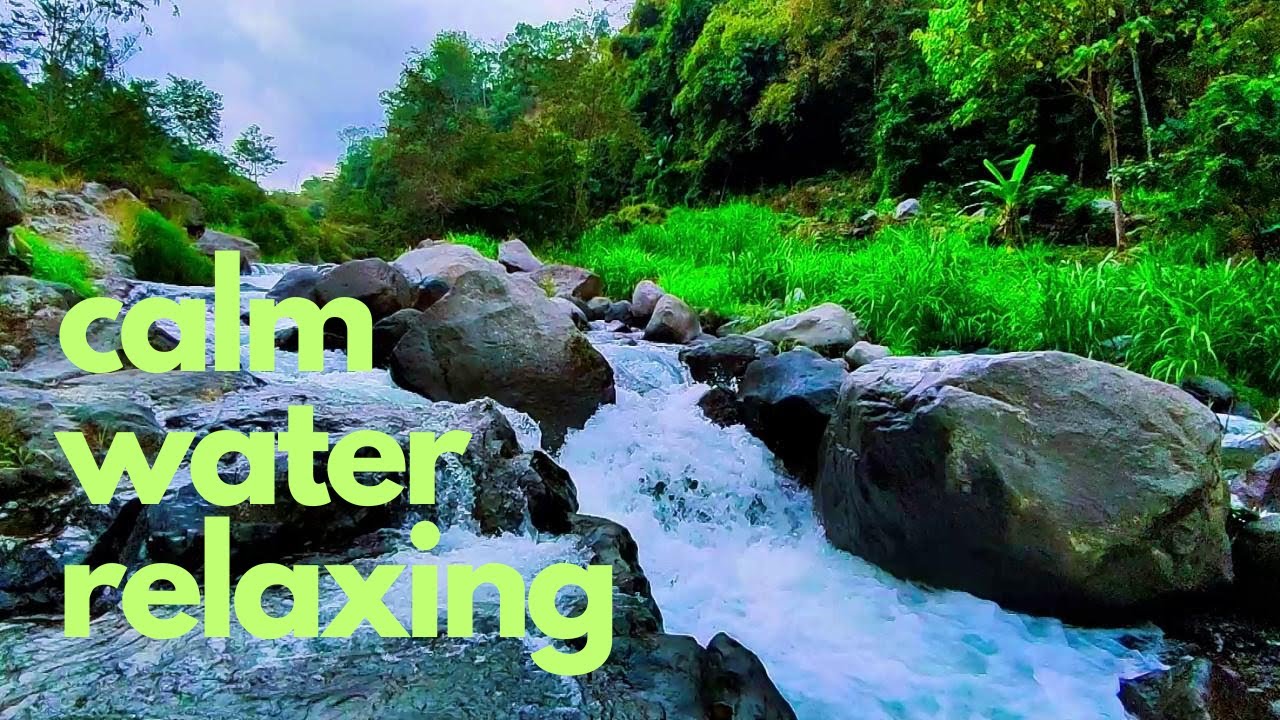 Relaxing River Sounds Stream Waterfall Gentle Stream for sleep, study ...