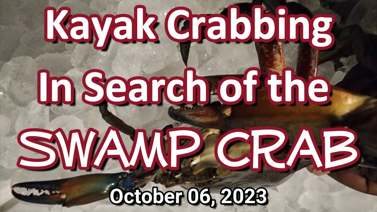 Kayak Crabbing in Search of the Swamp Crabs 10-06-2023 - YouTube