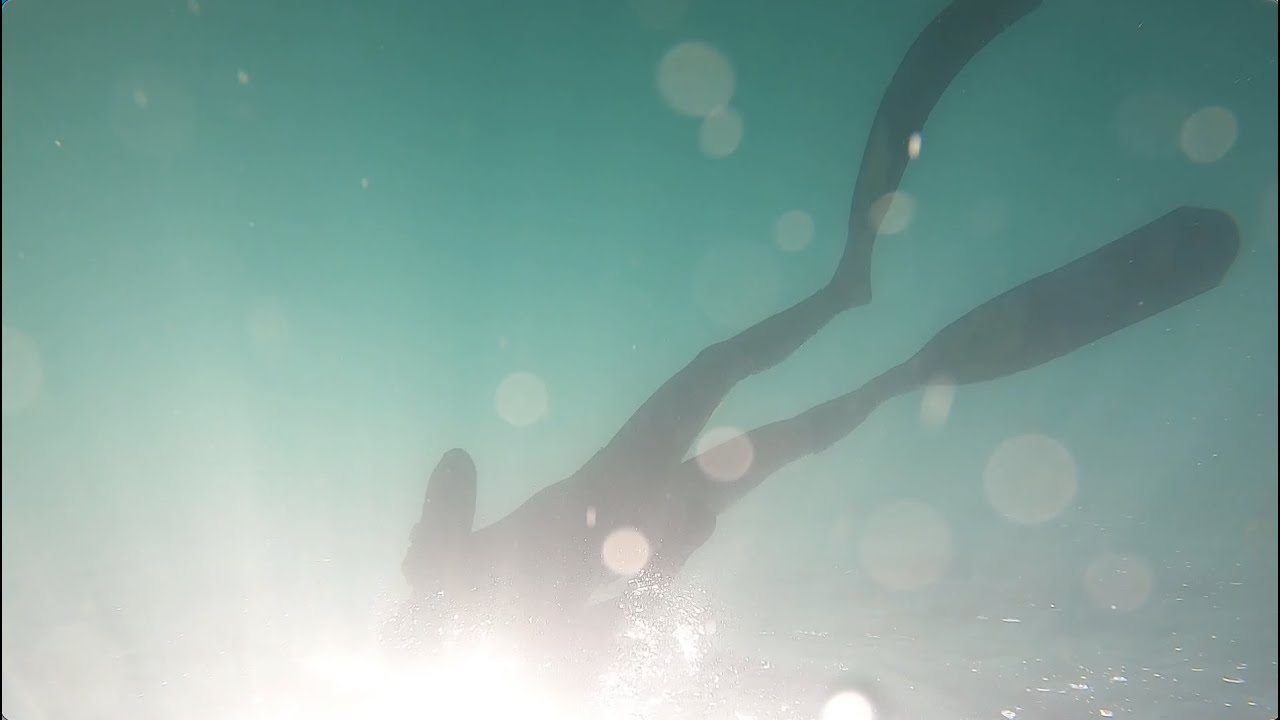 Monterey Breakwater Freediving Line Session | Nov. 26, 2022 | First Sea ...
