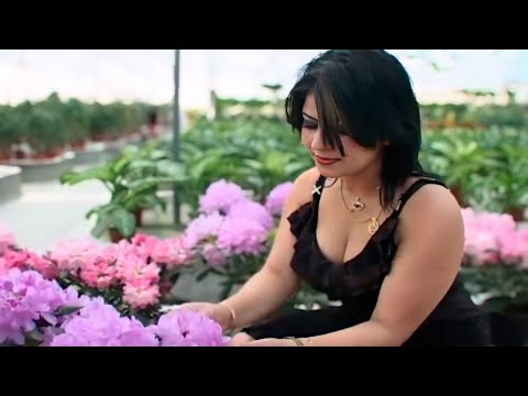 CHEBA NABILA - الشابة نبيلة المغربية HD | Rai chaabi - 3roubi - راي مغربي -  الشعبي