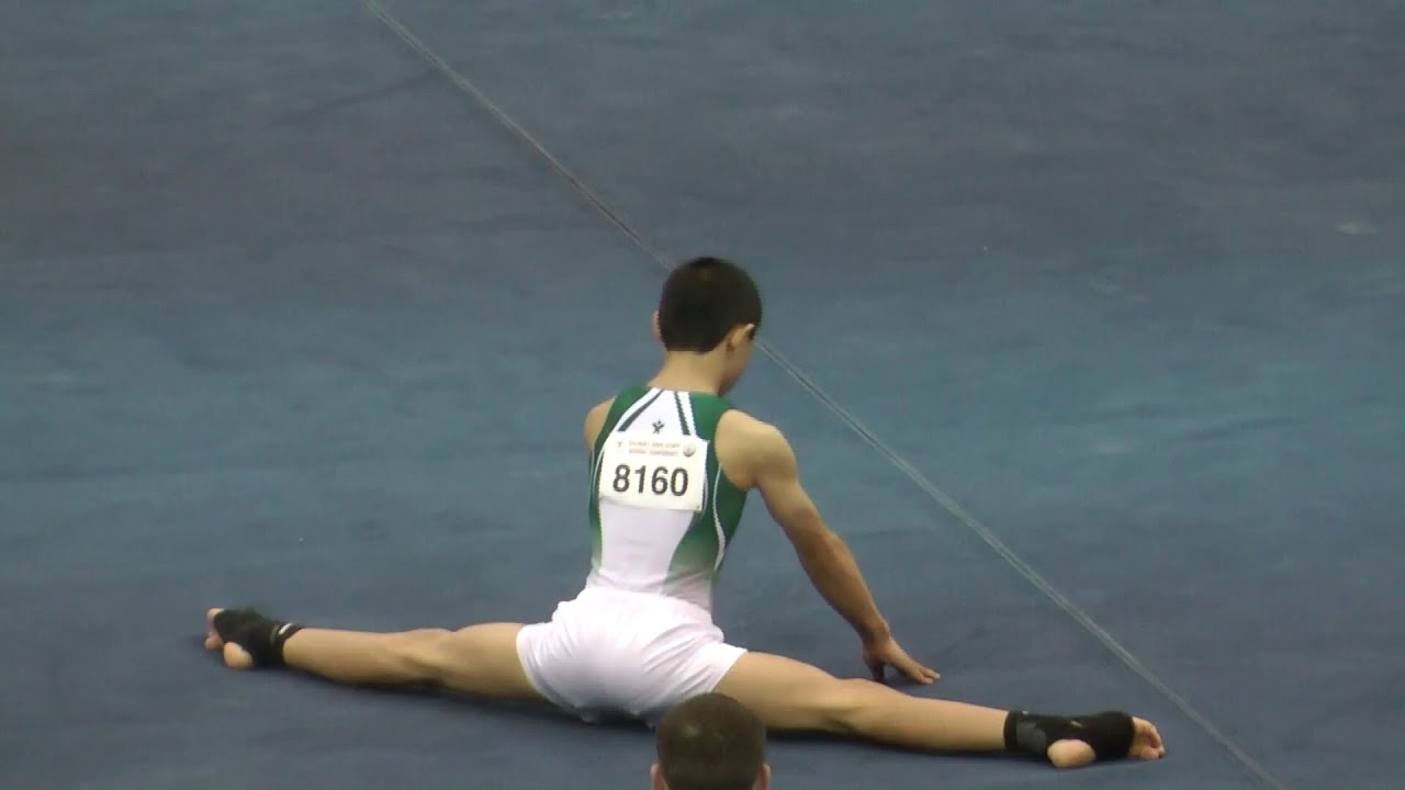 Tyler Shimizu - 2016 JO Nationals - Level 8 JE - YouTube