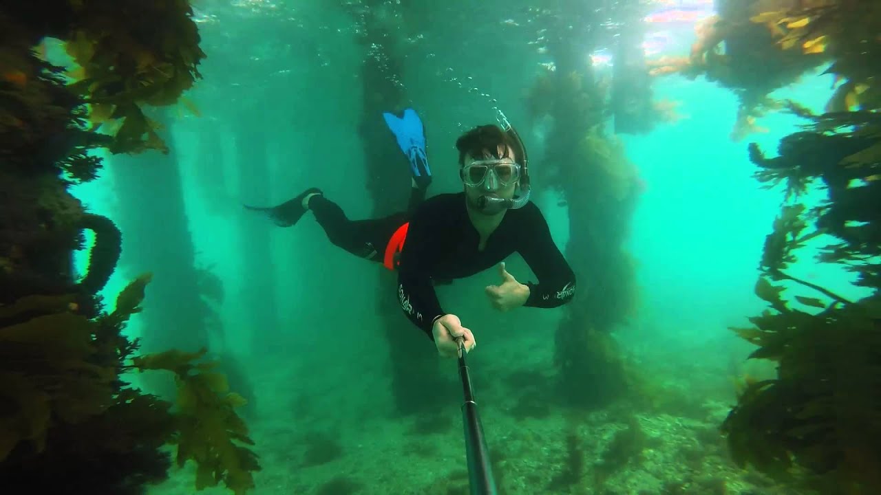Snorkeling Portsea - YouTube