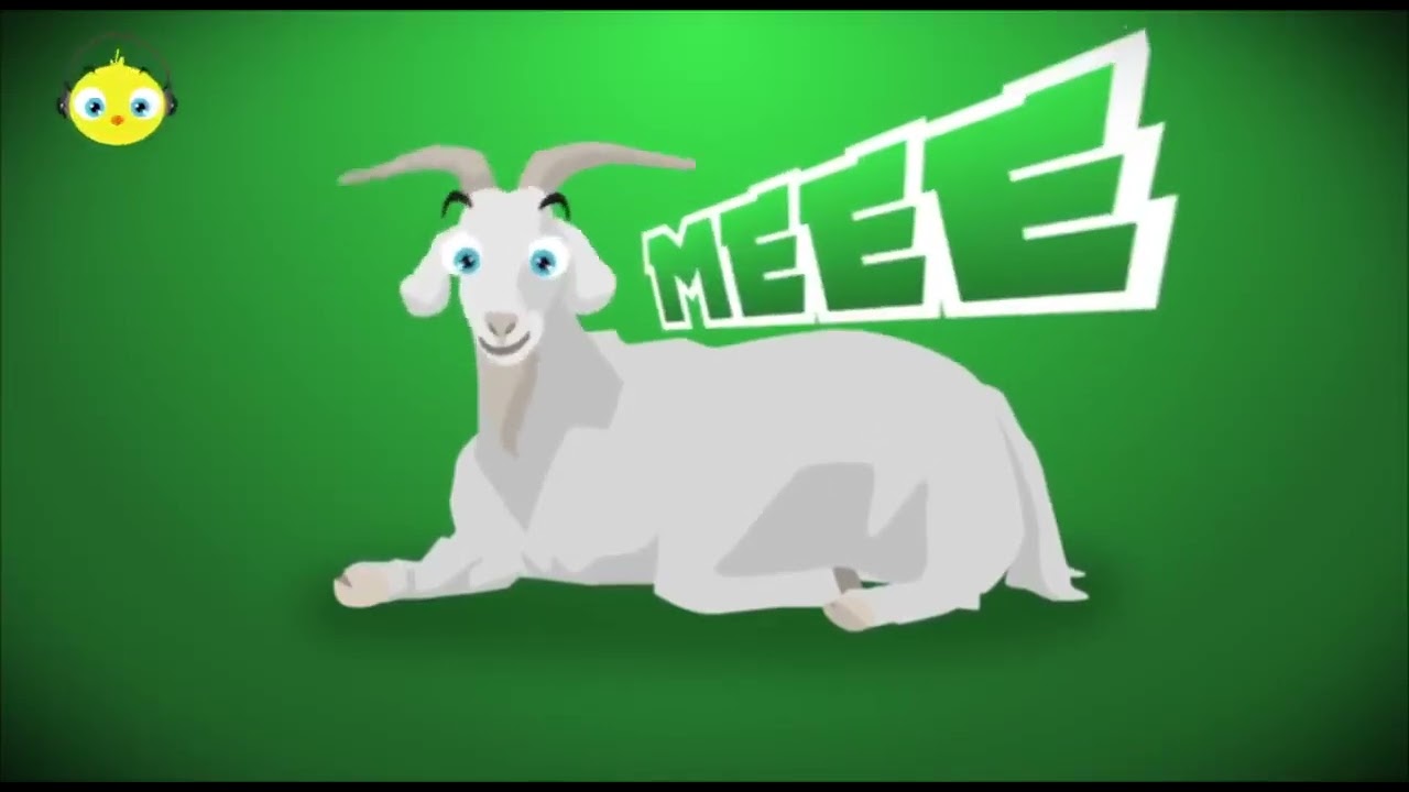 PULCINO PIO El Pollito Pio Official video720P ultra HD - YouTube