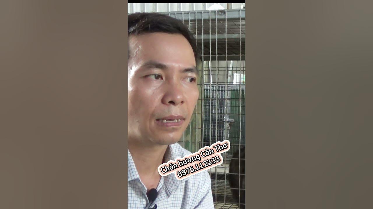 Chồn 6 Tháng Trở Lên Cần Hạn Chế Các Loại Thức ăn Này Kỹ Thuật Nuôi Chồn Hương Chuyện Nhà