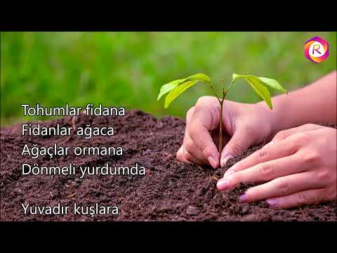 Ormanlar Şarkısı  Tohumlar Fidana  Sözlü ve Yazılı #okulşarkıları #okul #renkliboyamalar #şarkı