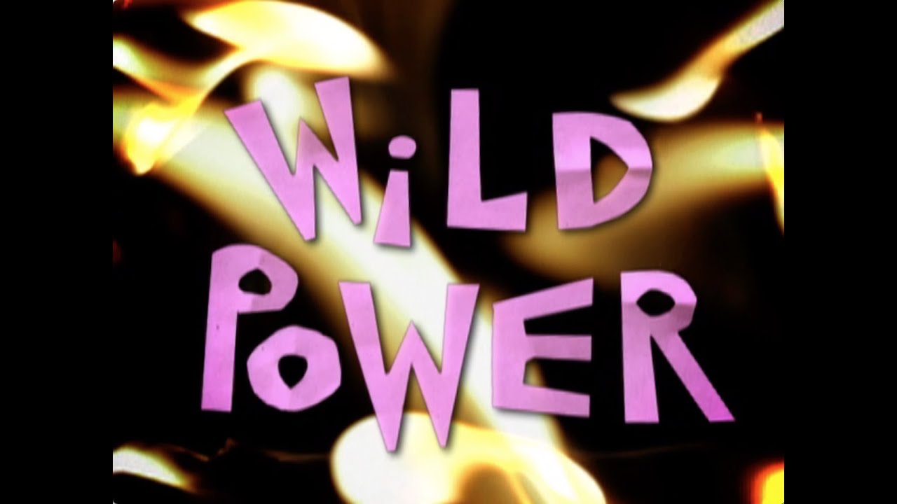 WILD POWER - INTRO - YouTube