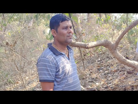 GROUND WATER SURVEYOR is live ranjit chohan mohi multai Betul - YouTube