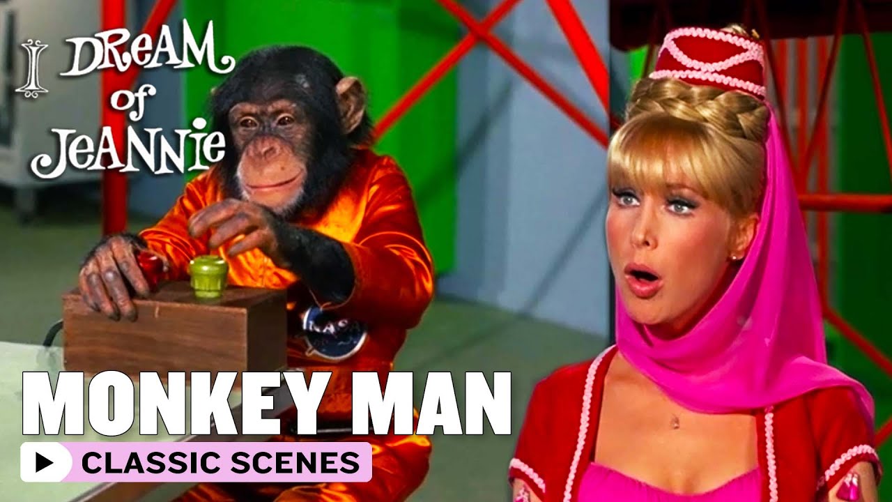 Jeannie Turns Sam The Monkey Into A Man | I Dream Of Jeannie - YouTube