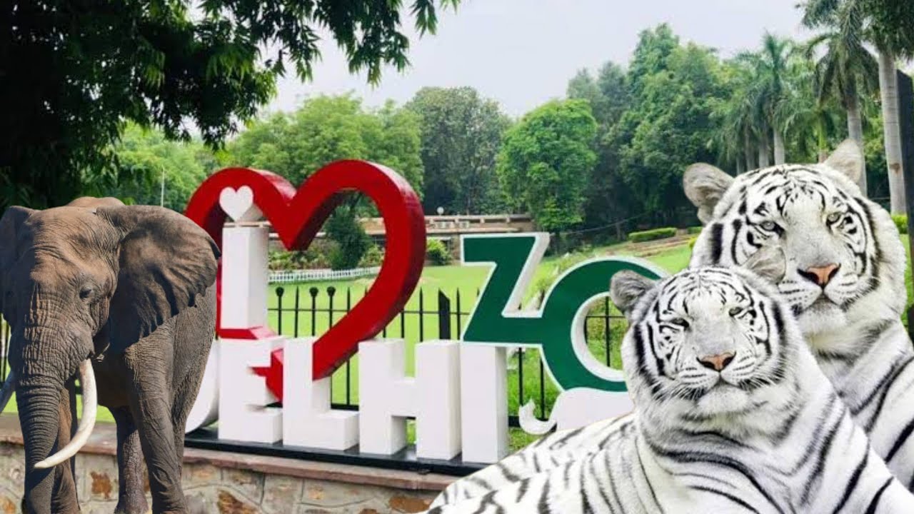 zoo delhi chidiya ghar || zoological park delhi ||zoo in delhi || zoo ...
