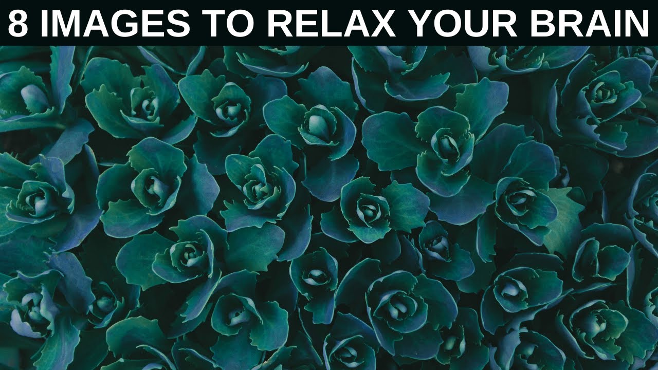 8 Images Have Been Scientifically Proven To Relax Your Brain. - YouTube