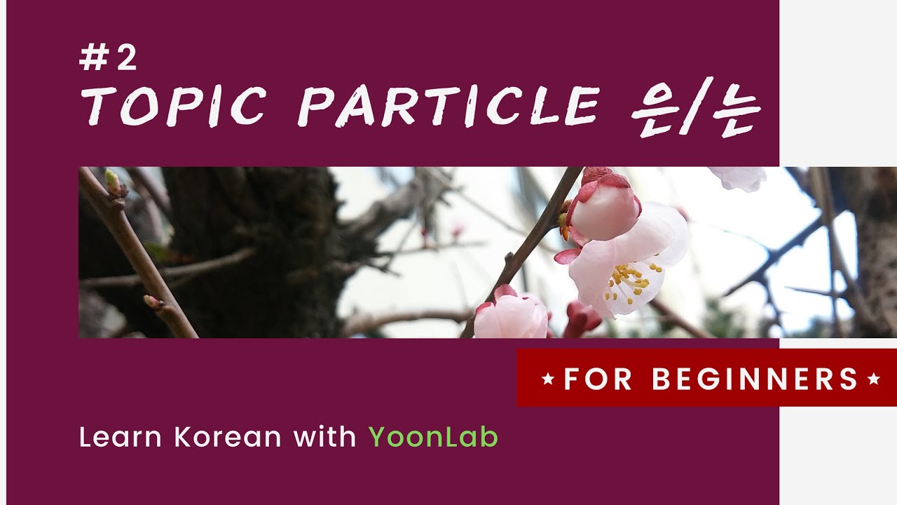 [YoonLab] Korean Grammar #2 – Topic Particles N는/은 - YouTube