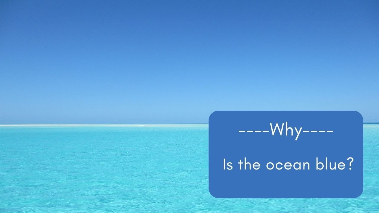 Why is the ocean blue | Saanvi teaches | 8 year old teacher | #kids # ...
